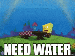Shocked Dry Spongebob Need Water GIF | GIFDB.com