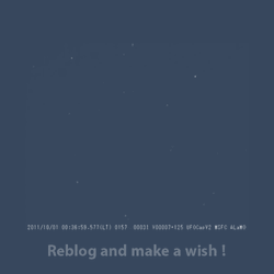 Shooting Star Make A Wish GIF | GIFDB.com