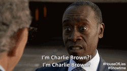 Showtime Don Cheadle Not Charlie Brown GIF | GIFDB.com