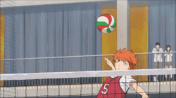 Shoyo Hinata Spiking The Ball GIF | GIFDB.com