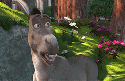 Shrek Donkey Scared Blown Away Fur Hair GIF | GIFDB.com