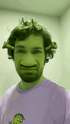 Shrek Filter Hmmmm GIF | GIFDB.com