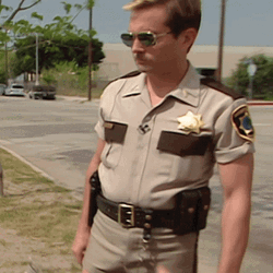 Shrugs Lieutenant Jim Dangle Reno 911 GIF | GIFDB.com