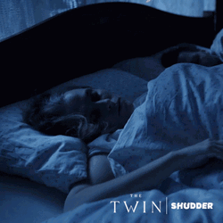 Shudder The Twin Night Spooky GIF | GIFDB.com