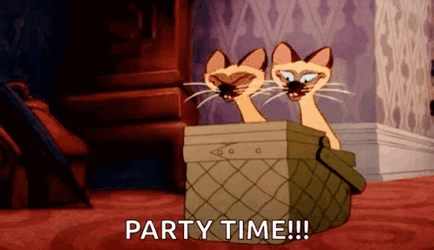 Siamese Cat Dance Party Time GIF | GIFDB.com