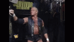 Sid Vicious Fist Bumping Fans GIF | GIFDB.com