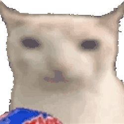 Silly Cat Eating Chips Sticker GIF | GIFDB.com