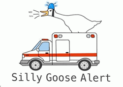 Silly Goose Alert Ambulance GIF | GIFDB.com