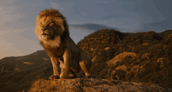 Simba The Lion King Sitting On His Throne GIF | GIFDB.com