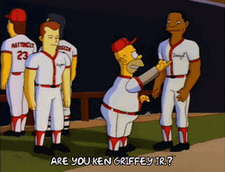 Simpsons Ken Griffey Jr GIF | GIFDB.com