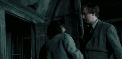 Sirius Black Death Scene GIF | GIFDB.com