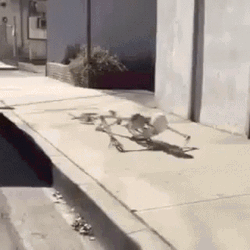 Skeleton Dragging Its Body GIF | GIFDB.com