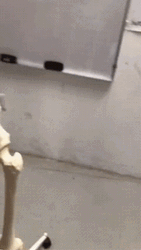 Skeleton Form Mewing Meme GIF | GIFDB.com