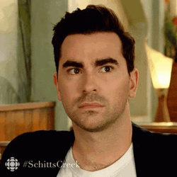 Skeptical Dan Levy Schitts Creek GIF | GIFDB.com