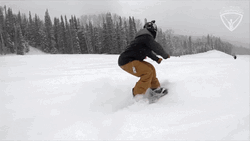 Ski 480 X 270 Gif GIF | GIFDB.com