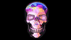 Skull GIFs | GIFDB.com