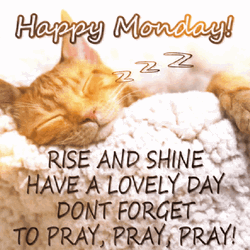 Sleeping Cat Happy Monday Meme GIF | GIFDB.com