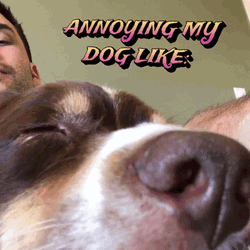 Sleepy Dog Annoying Owner GIF | GIFDB.com
