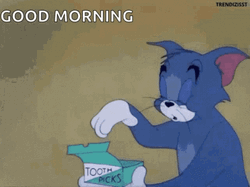 Sleepy Tom Cat Good Morning Meme GIF | GIFDB.com