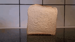 Sliced Bread Falling Over Backwards GIF | GIFDB.com