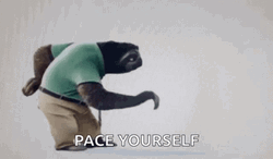 Sloth Walking Pace Yourself Slow Down GIF | GIFDB.com