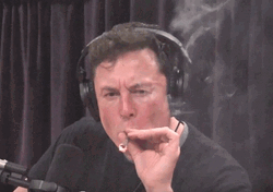 Slow Motion Elon Musk Smoking GIF | GIFDB.com