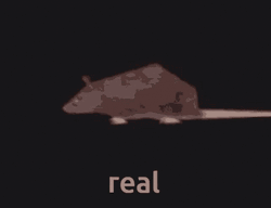 Slow Motion Spinning Animated Rat GIF | GIFDB.com