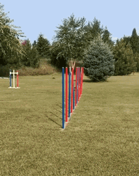 Smart Dog German Shepherd GIF | GIFDB.com