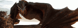 Smaug In Bright Day Light GIF | GIFDB.com
