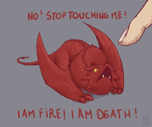 Smaug Stop Touching Me GIF | GIFDB.com