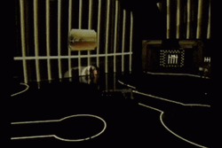 Smile Woman Arrested Right To Jail GIF | GIFDB.com