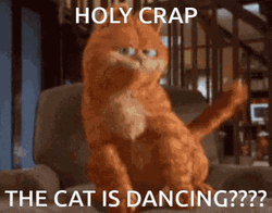 Smirking Garfield Dancing Cat Meme GIF | GIFDB.com