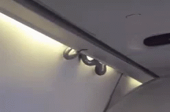 Snakes On A Plane Compartment GIF | GIFDB.com