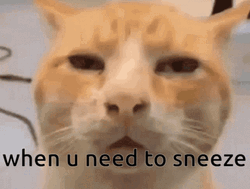 Sneeze GIFs | GIFDB.com