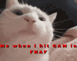 Sniffing Cat Dancing Meme GIF | GIFDB.com