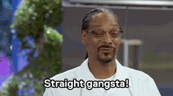 Snoop Dogg Straight Gangsta GIF | GIFDB.com