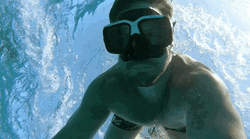 Snorkeling Scuba Diving GIF | GIFDB.com