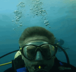 Snorkeling Guy Blowing Bubbles GIF | GIFDB.com