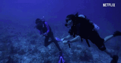Snorkeling Scuba Diving GIF | GIFDB.com
