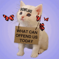 Snowflake What Can Offend Us Today GIF | GIFDB.com