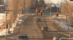 Snowmobile Jumping Over A Road GIF | GIFDB.com