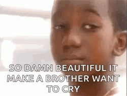 So Damn Beautiful Meme GIF | GIFDB.com