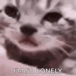 So Lonely Crying Cat GIF | GIFDB.com