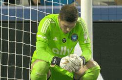 Soccer Goalkeeper In Despair GIF | GIFDB.com