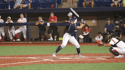 Softball GIFs | GIFDB.com