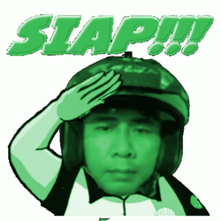 Soldier Turbulence Salute GIF | GIFDB.com