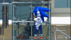 Sonic Hedgehog Waving Checkered Flag GIF | GIFDB.com