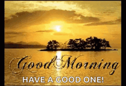 Special Good Morning Have A Good One GIF | GIFDB.com