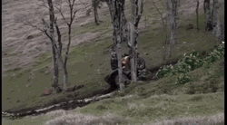 Speeding Car Bye Bye GIF | GIFDB.com