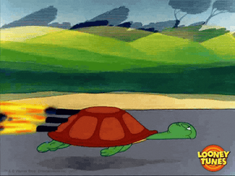 Speeding Flying Turtle Looney Tunes GIF | GIFDB.com